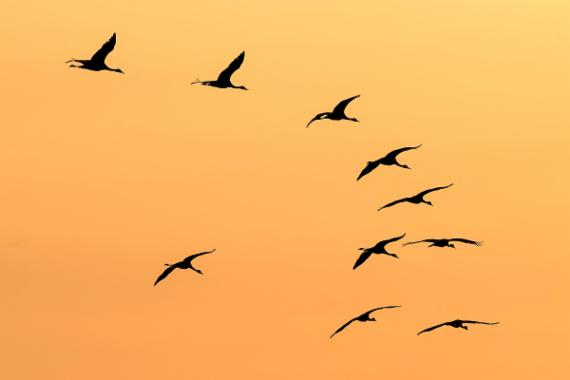 성경진리사역원(BTMK) | 2016년 겨울 훈련 에스겔서 표어