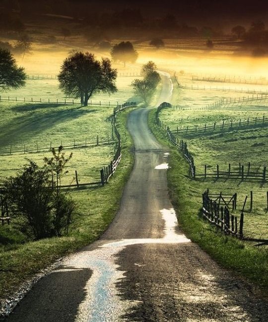 성경진리사역원(BTMK) | 우리 앞에 놓인 경주를 합시다