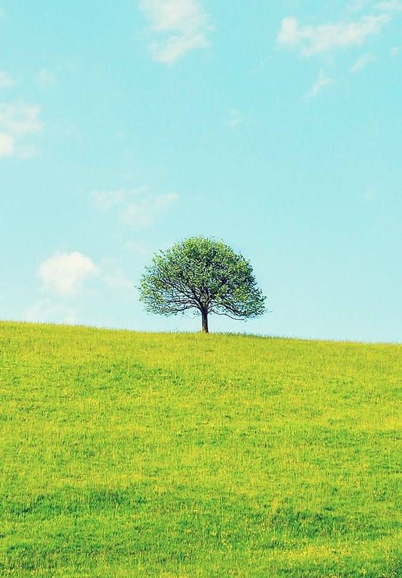 성경진리사역원(BTMK) | 2023년 상반기 전국 청년‧직장인 확대 봉사자 섞임 안내