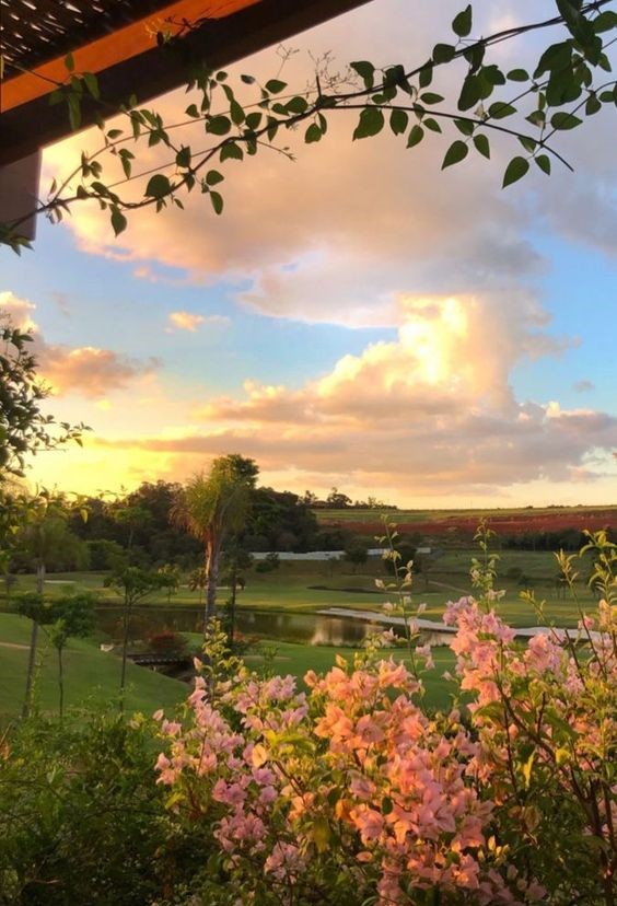 성경진리사역원(BTMK) | 2023년 복음 및 목양카드 신청 안내