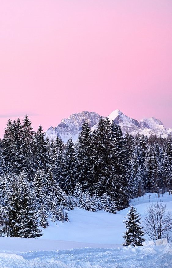 성경진리사역원(BTMK) | 북한 복음화를 위한 기도 제목 - 12월 13일(화)