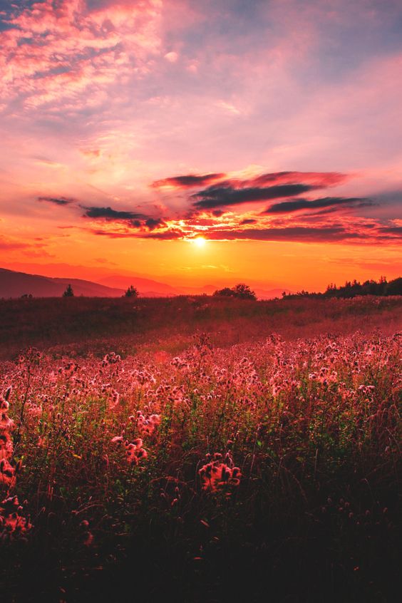 성경진리사역원(BTMK) | 2023년 전국 특별집회 및 제2차 전 성도 온전하게 하는 훈련(란 캔가스) 안내