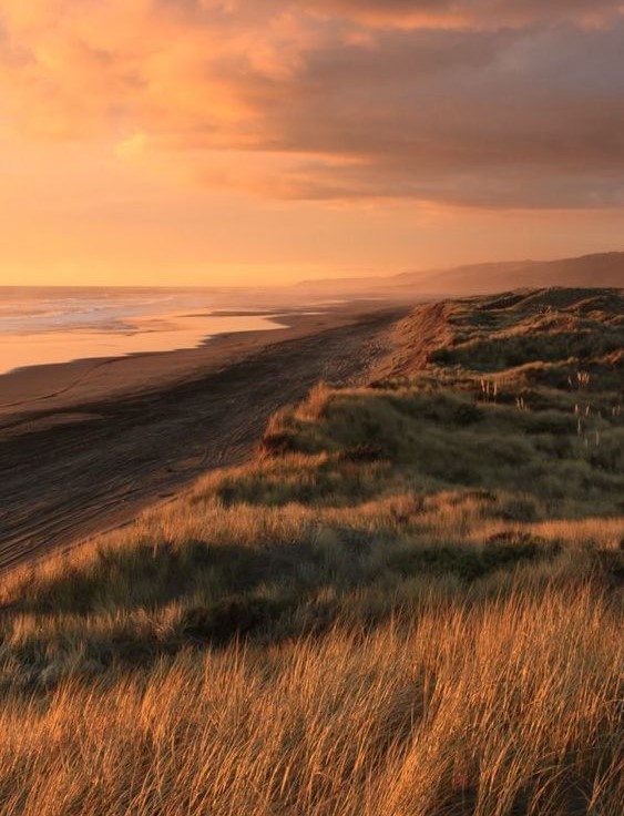 성경진리사역원(BTMK) | 북한 복음화를 위한 기도 제목 - 12월 20일(화)