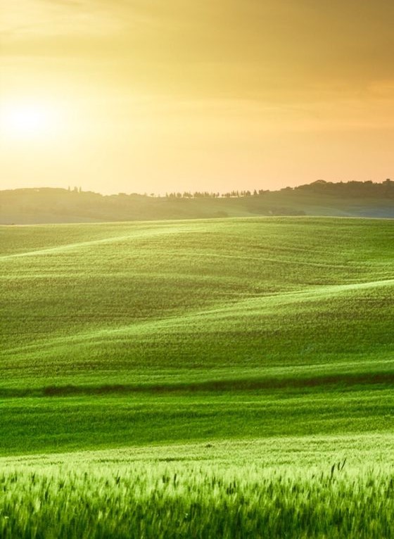 성경진리사역원(BTMK) | 2023년 국제 중국어 특별집회 안내