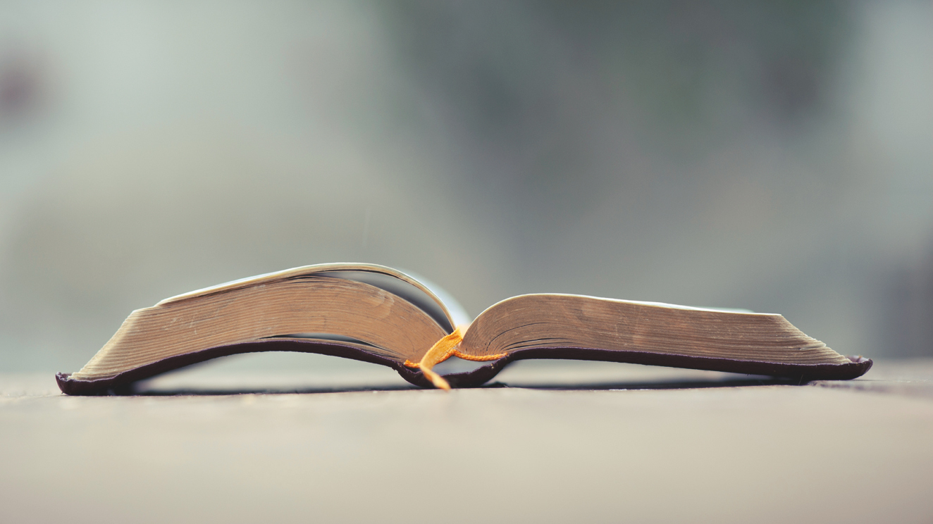 성경진리사역원(BTMK) | 기도로 말씀 읽기 (4)