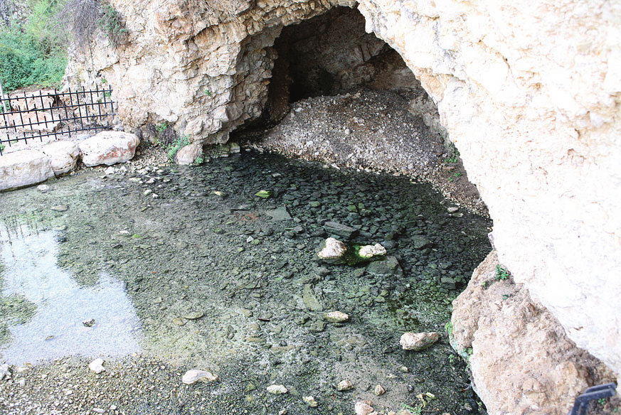 성경진리사역원(BTMK) | 11일차 - 하나님의 움직임을 위한 이기는 이들