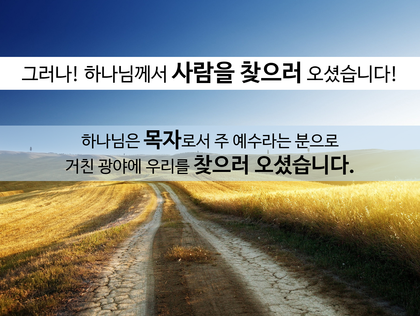 성경진리사역원(BTMK) | [PT] 누가복음 15장_복음 메시지