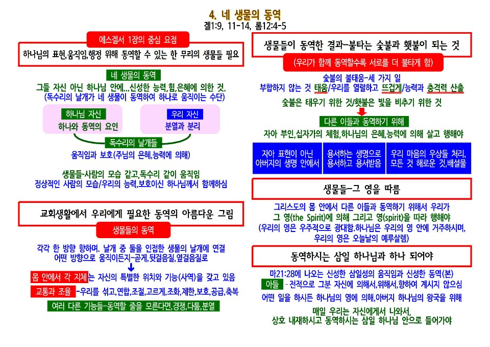 성경진리사역원(BTMK) | [2016년 겨울 훈련 집회] - 에스겔서(1) 전체 조감도