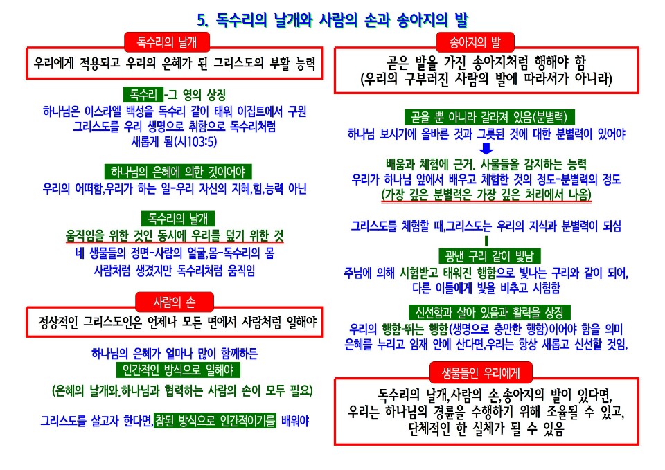 성경진리사역원(BTMK) | [2016년 겨울 훈련 집회] - 에스겔서(1) 전체 조감도