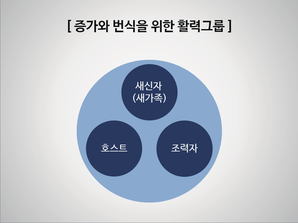 성경진리사역원(BTMK) | 제 26화. 고령화와 정체에서 벗어나기 위한 하나님께서 정하신 길_PPT 자료