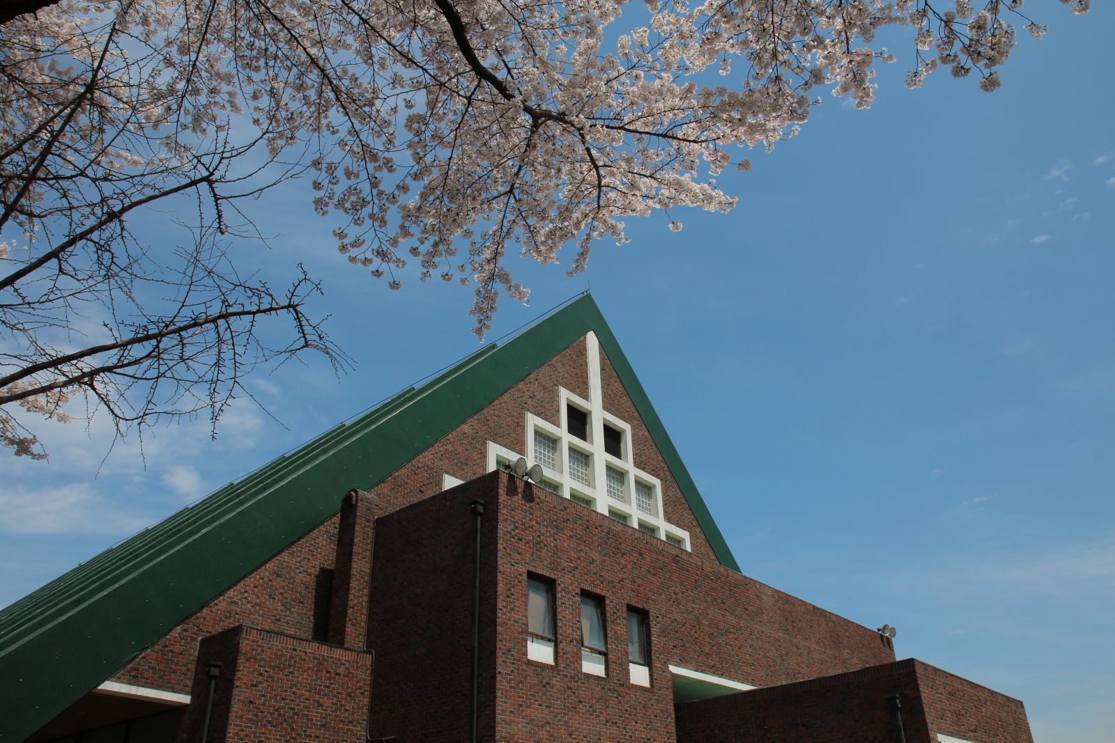 성경진리사역원(BTMK) | 2017년 연간 계획표 안내