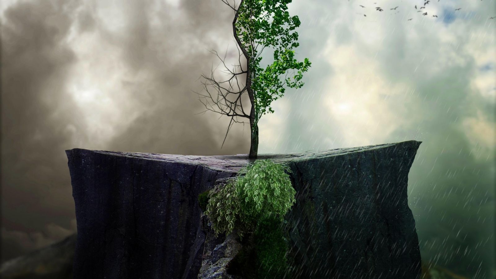 성경진리사역원(BTMK) | 흑백논리