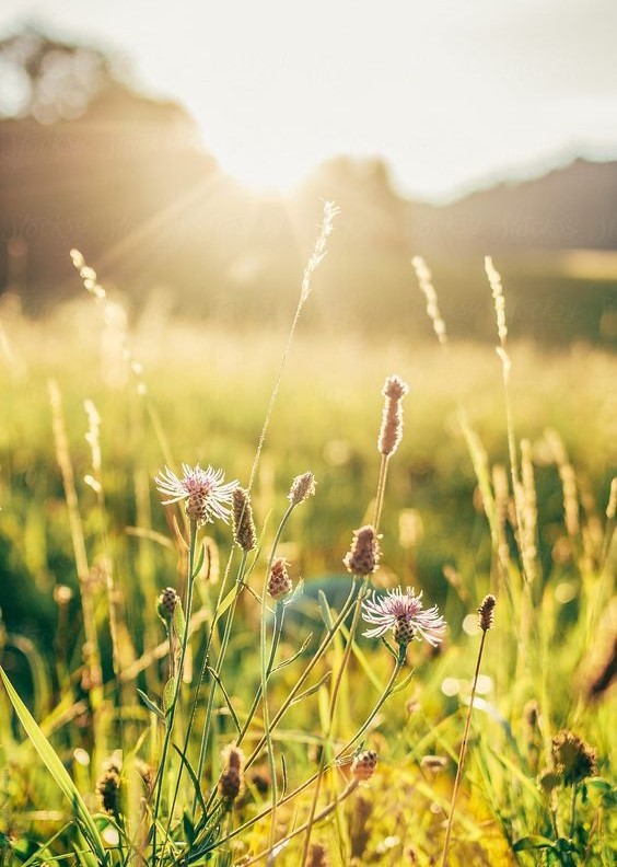 성경진리사역원(BTMK) | 2023년도 서울전시간훈련 청년 제28기 훈련생 모집