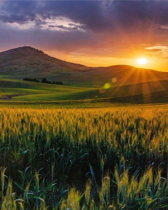 성경진리사역원(BTMK) | 성령을 받으십시오.