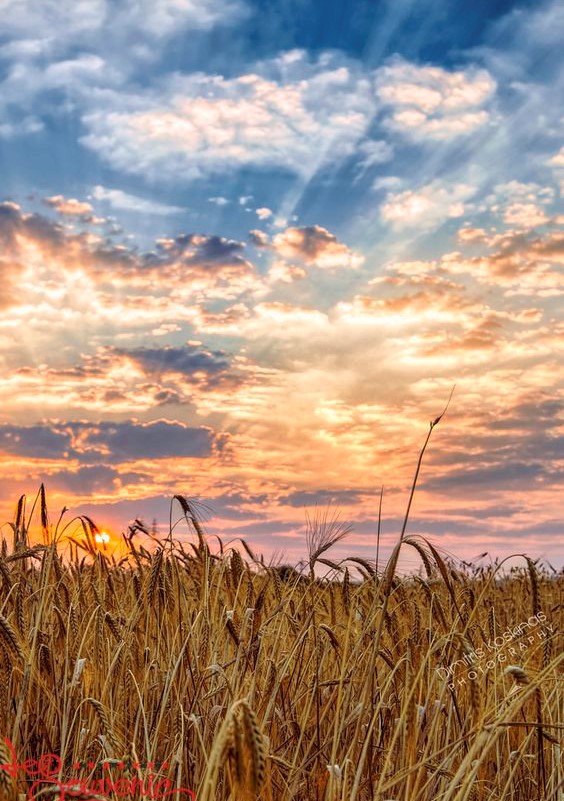 성경진리사역원(BTMK) | 축도에 대한 심층 이해
