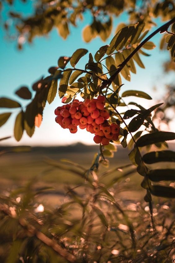 성경진리사역원(BTMK) | 2023년 ‘아침부흥을 위한 거룩한 말씀’ 추구 진도 안내